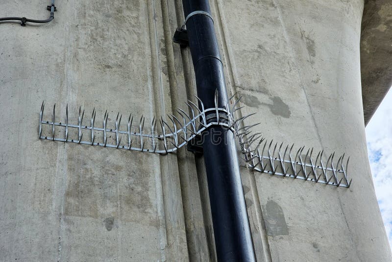 Anti Spikes High Security Topping for Drainpipes. Stock Image - Image ...