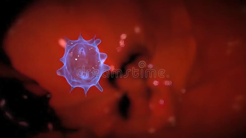 Antibodies that Find and Destroy the Virus Stock Illustration ...