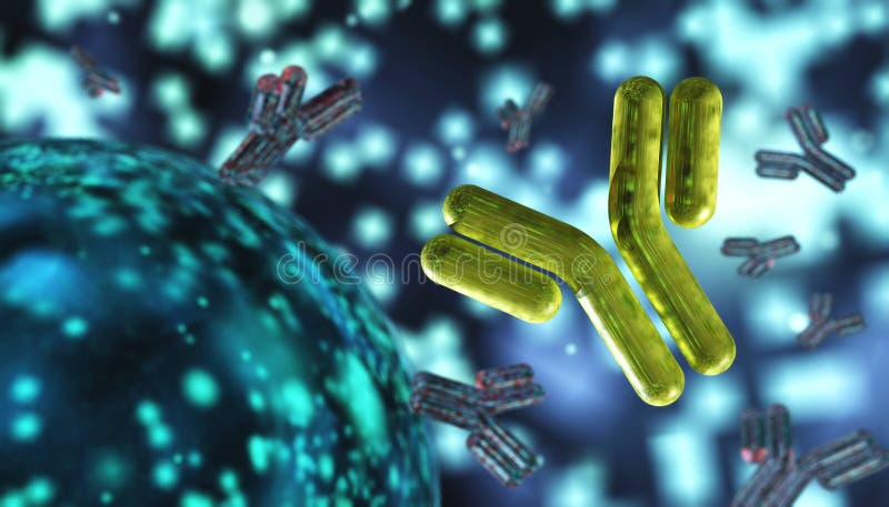 Antibody, Immunoglobulins, 3d Rendering Stock Illustration ...