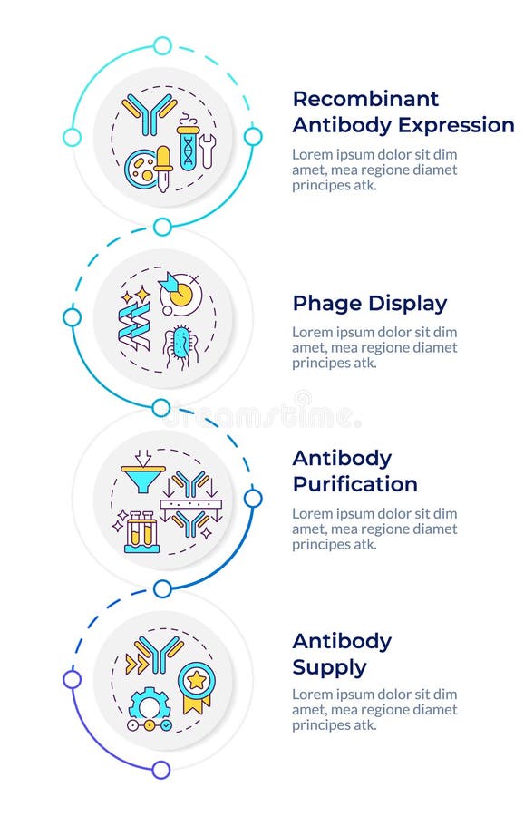 Antibody Production Process Infographic Design Template Stock ...