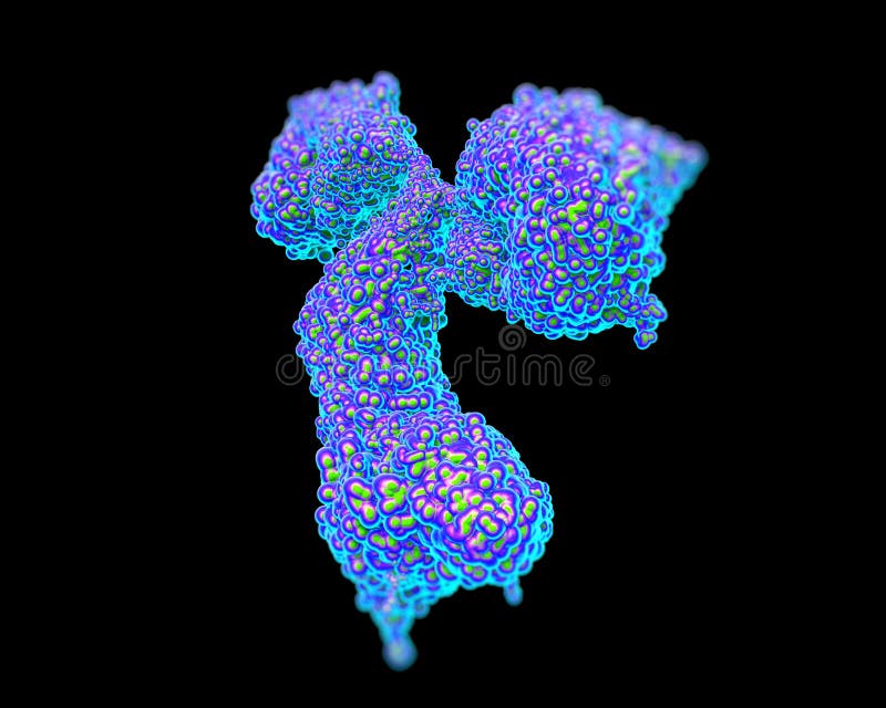 Anticorpo De G Da Imunoglobulina Ilustração Stock - Ilustração de ...