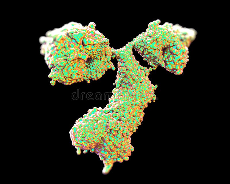 Imunoglobulina Ou Proteínas De Anticorpos Atacam Uma Célula Patogênica ...