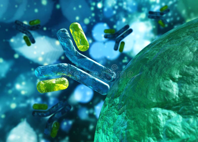 Anticorpo, imunoglobulina imagem de stock. Imagem de espiral - 128786667