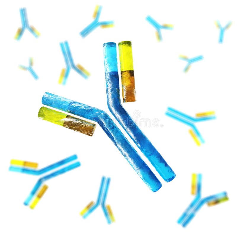 Anticorpo, imunoglobulina imagem de stock. Imagem de biologia - 132286761