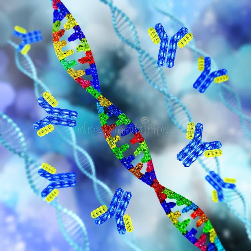 Anticorpos, Imunoglobulina, O Imune Ilustração Stock - Ilustração de ...