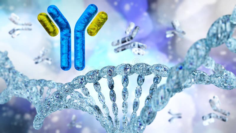 Anticorpos, Imunoglobulina, O Imune Ilustração Stock - Ilustração de ...