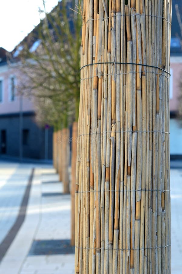 Antifreeze on the tree stock photo. Image of prophylaxis - 35779944