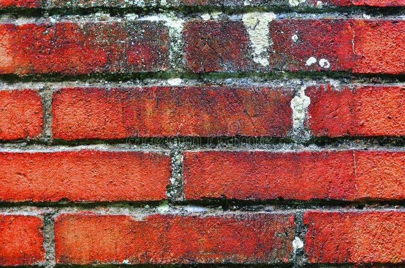 Antiga Textura De Parede De Tijolos Foto De Stock Imagem De Velho