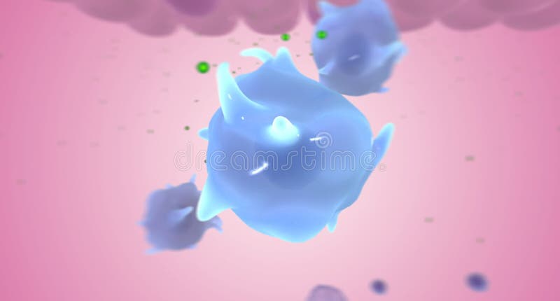 Antigen Presenting Cell Stock Illustrations – 121 Antigen Presenting ...