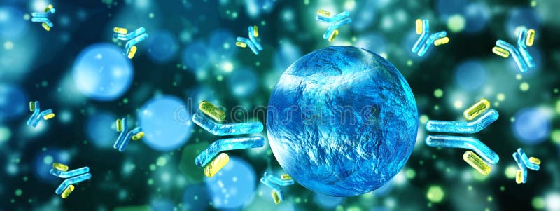 Antilichamen, Immunoglobulins, Immuun Stock Afbeelding - Image of bloed ...