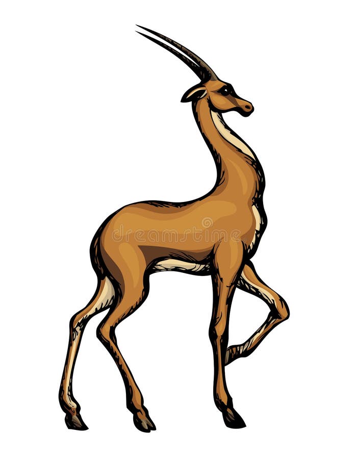 Antilope Vector tekening vector illustratie. Illustration of zoogdier ...