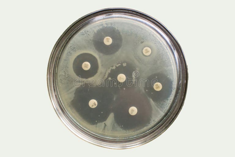 Antimicrobial Susceptibility Testing. Antibiotic Efficiency by ...