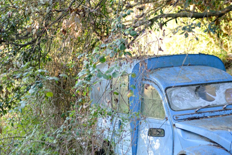 Antique Blue Abandoned Car in the Forest Stock Photo - Image of forest ...