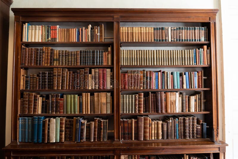 Antique Books on the Bookshelf. Stock Photo - Image of literacy, stack ...