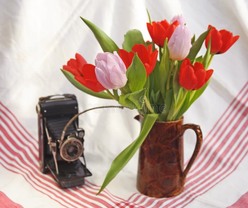 Antique Camera and tulips stock photo. Image of retro - 29045918