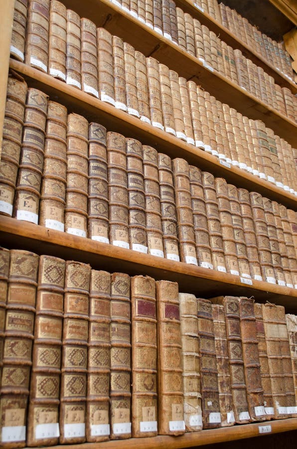 Library with Ladder Full of Old Bibles Stock Image - Image of shelf ...