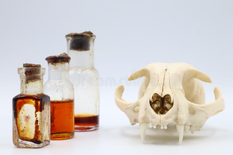 Antique Medicine Bottles, 1800s Victorian Era Stock Image - Image of ...