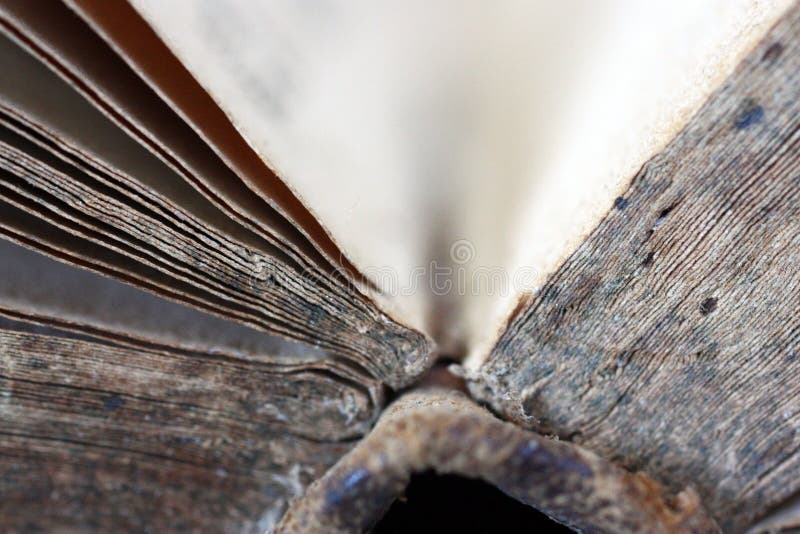 Old Brown Book Cover Picture. Image: 4010077