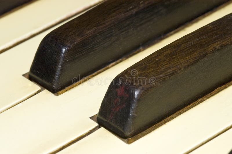 Antique Organ Keys stock photo. Image of white, vintage - 28325944