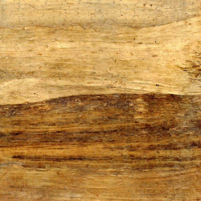 Old Papyrus Texture Isolated on White Background. Banner Wallpaper ...