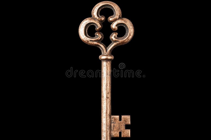 Black Skeleton Key Stock Illustrations – 1,711 Black Skeleton Key Stock ...