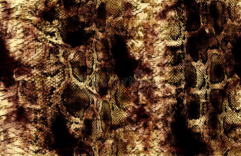 Antique Snakeskin and Brown Surface Pattern Stock Photo - Image of ...