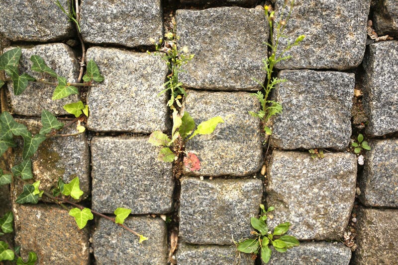 Antique Stone Blocks, Hand-made, Road Made of Durable Material Stock ...