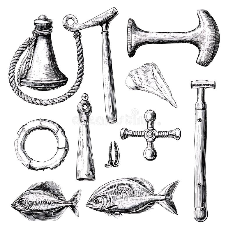 Antique Tools, Artifacts, and Fish Illustrations Stock Illustration ...