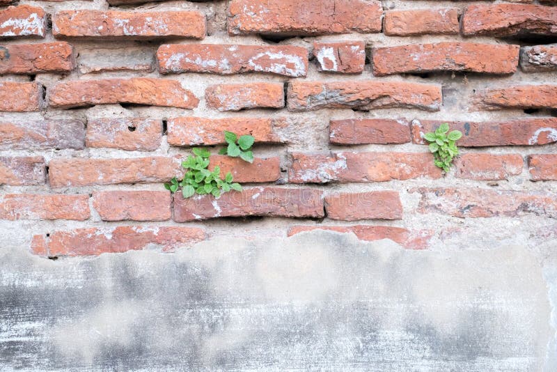 Antique Wall stock photo. Image of brick, building, background - 64465512