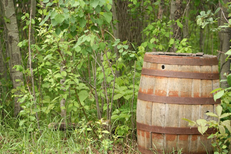 Antique Wood Barrel Left in a Forest Stock Photo - Image of brown ...