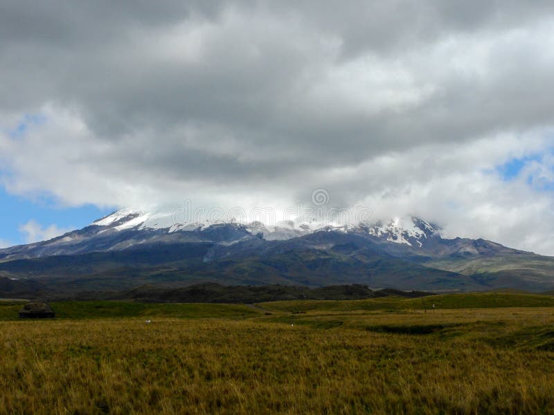 Antisana Ecological Reserve, Antisana Volcano, Stock Photo - Image of ...