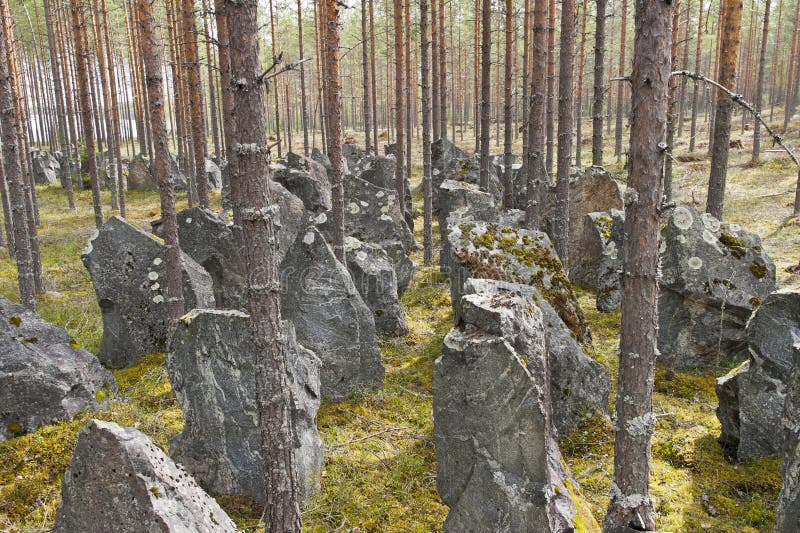 Antitank Barrier World War II Stock Photo - Image of finland, frontier ...