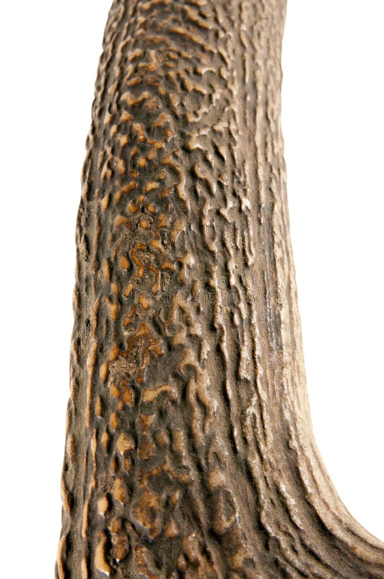 1,082 Antler Texture Stock Photos - Free & Royalty-Free Stock Photos ...