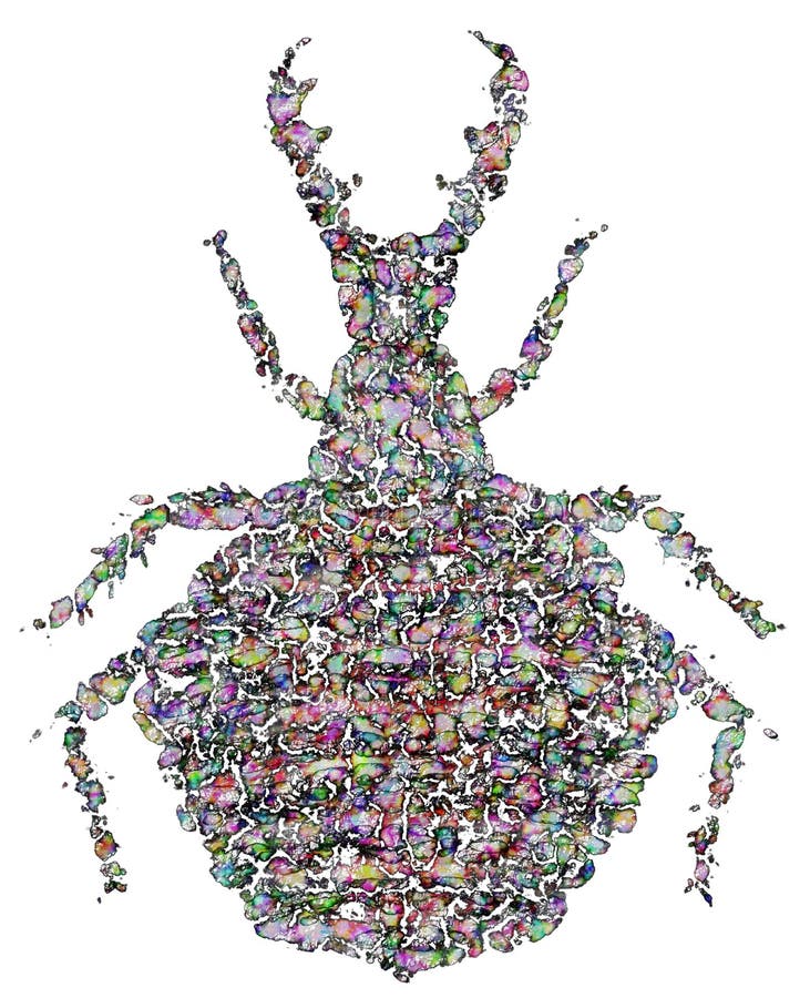 Antlion Larva Isolated Insect Nature Stock Illustration - Illustration ...