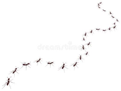 Ants Leadership Stock Illustrations – 157 Ants Leadership Stock ...
