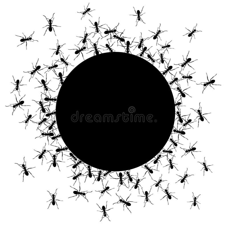 Black ants border / frame stock vector. Illustration of isolated - 6342497