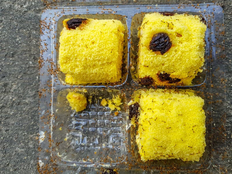 Ant on Bread stock photo. Image of moment, little, world - 20248034