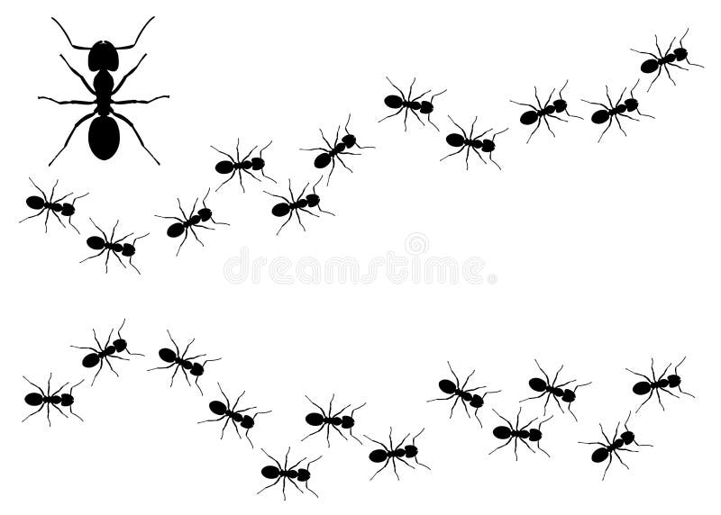 Ants footprint in the set. stock vector. Illustration of black - 229428578