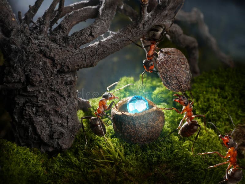 Ants Hide Treasure Diamond , Ant Tales Stock Photo - Image of jewelery ...