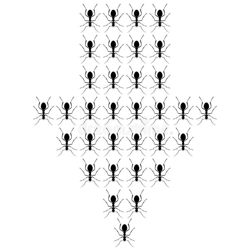 Seamless Vector Pattern with Ants Stock Vector - Illustration of ...