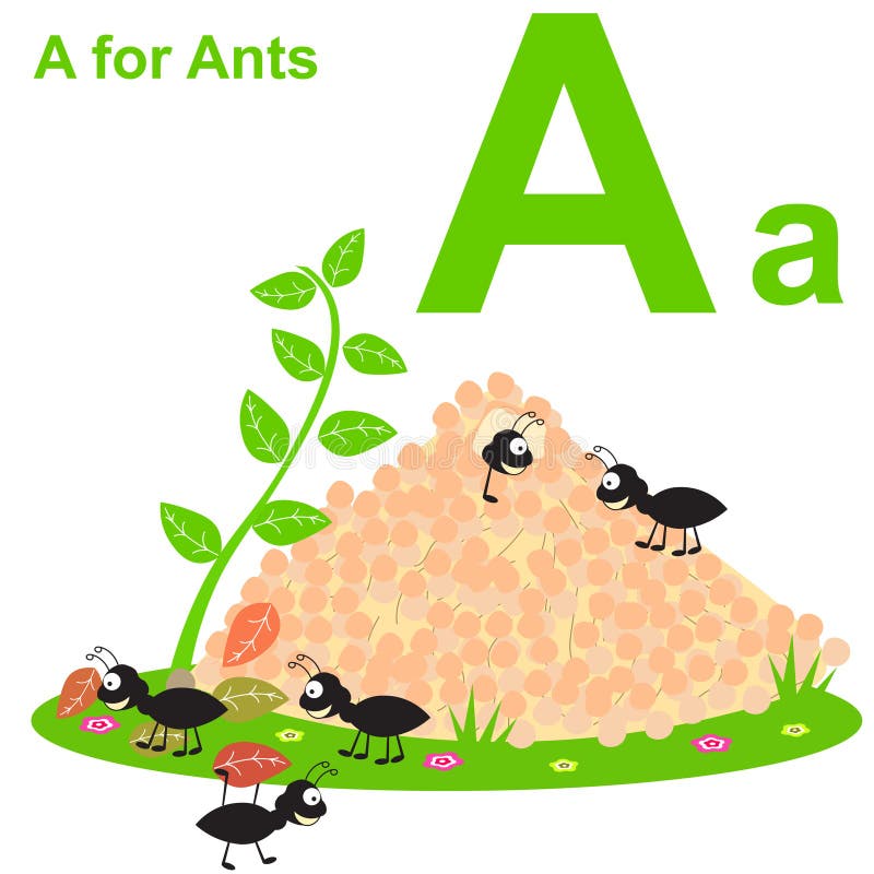 A for ants .kids alphabet stock vector. Illustration of preschool ...