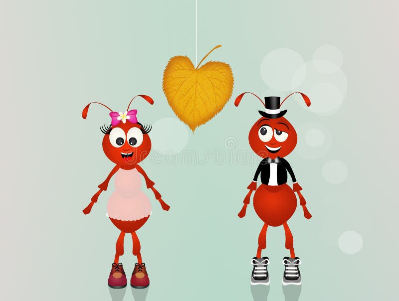 Ants in love stock illustration. Illustration of couple - 81612928