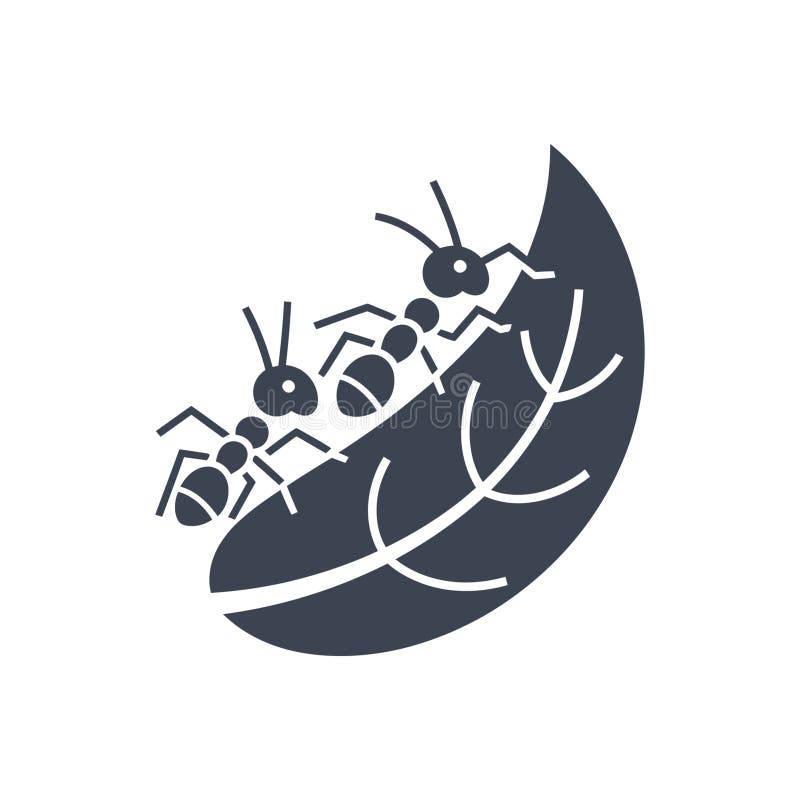 Ants Marching Leaf Icon stock vector. Illustration of ants - 384694235