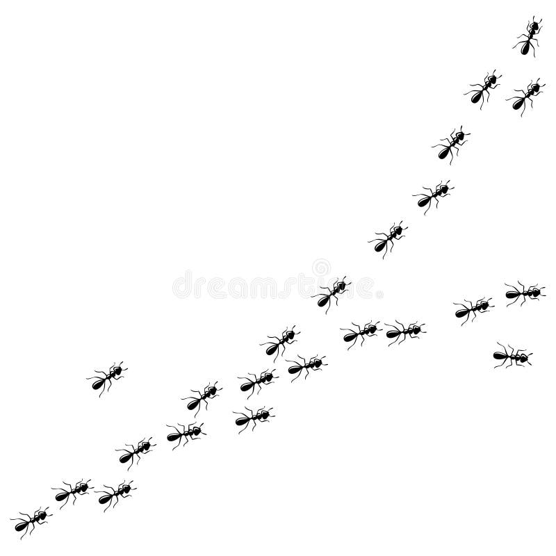 Ants Marching in Trail. Ant Path Isolated in White Background. Vector ... Ants Marching in Trail. Ant Path Isolated in White Background. Vector ...