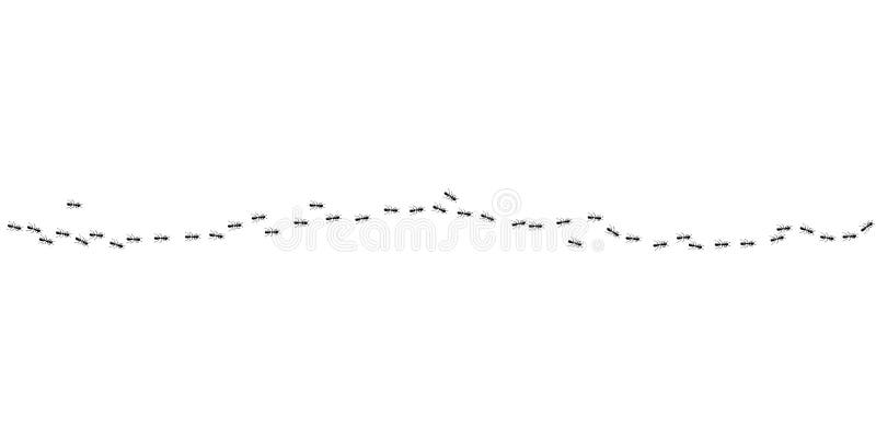 Ants Marching in Trail. Ant Path Isolated in White Background. Vector ... Ants Marching in Trail. Ant Path Isolated in White Background. Vector ...