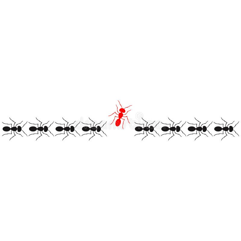 Ants Marching or Walking and One Changing Direction. Think Differently ...