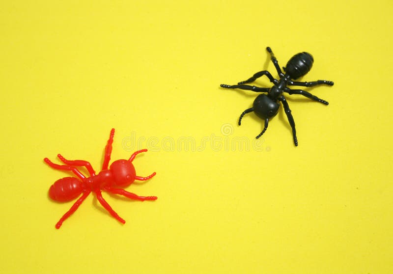 Ants over yellow stock image. Image of closeup, ants - 159845417