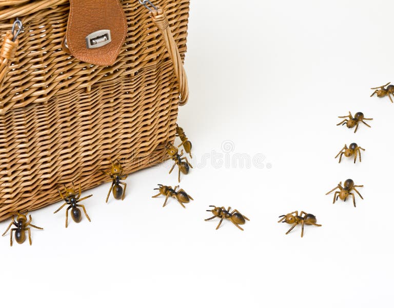 222 Ants Picnic Stock Photos - Free & Royalty-Free Stock Photos from ...