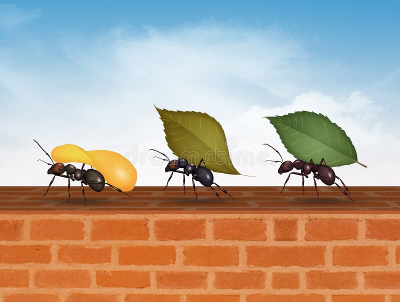 Ants with Potato and Leaf on the Wall Stock Illustration - Illustration ...