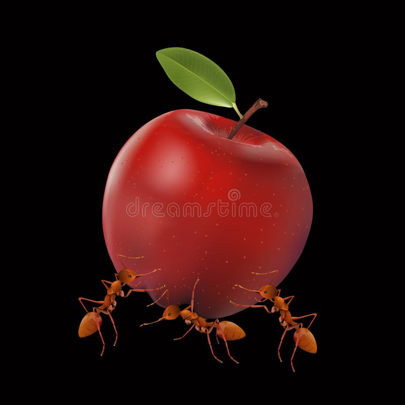 Ant carrying apple slice stock vector. Illustration of juicy - 42310587